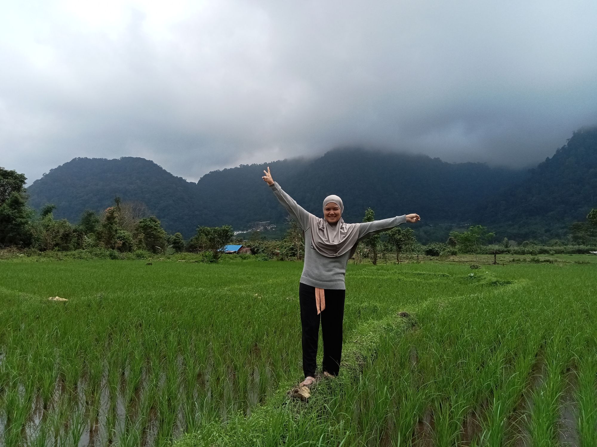 8 Tempat Wisata Hits di Pamah Simelir, Langkat - Travel Blogger Medan